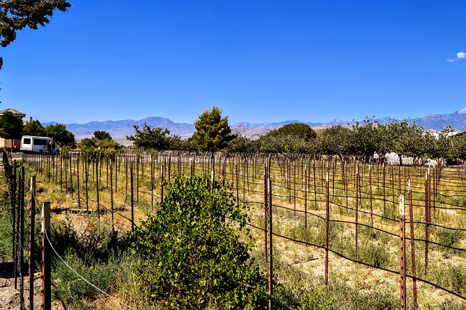 Wine Tasting Tour from Las Vegas with Snacks - An In-Depth Look at the Wine Tasting Experience