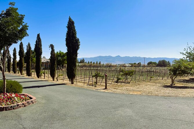 Wine Tasting Tour from Las Vegas with Snacks - Who Should Consider This Tour?