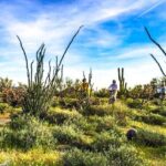 2-Hour Arizona Desert Guided E-Bike Tour - The Guides and the Experience: What Makes the Difference