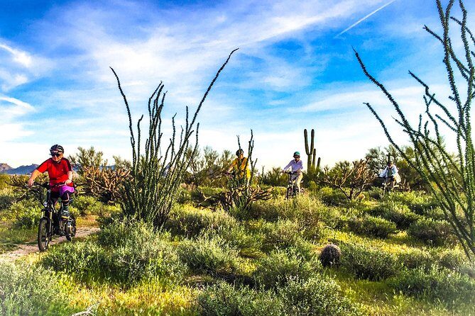 2-Hour Arizona Desert Guided E-Bike Tour - The Guides and the Experience: What Makes the Difference