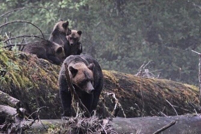 2 Hour Custom Wildlife and Historical Tour - What You Should Know Before Booking