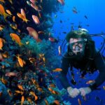 2 Tank Dive in Cozumel - An In-Depth Look at the Experience