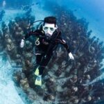 2 Tank Dives MUSA and Manchones reef (Certified divers) - An In-Depth Look at the Experience