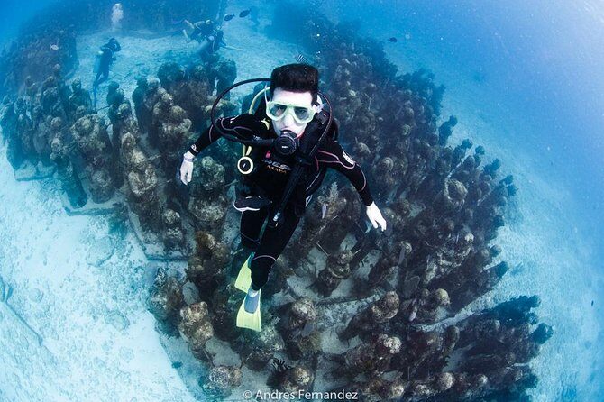 2 Tank Dives MUSA and Manchones reef (Certified divers) - An In-Depth Look at the Experience
