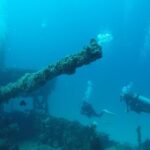 2 Tank Reef Dive in Mexico - The Value of the Tour
