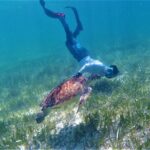 3 Hour Costa Maya Snorkeling Excursion - La Leyenda ECO-TOURS - The Value of This Snorkeling Tour
