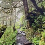 3-Hour Rainforest, Beach & Wildlife Walk - Final Thoughts: Why You Should Consider This Tour