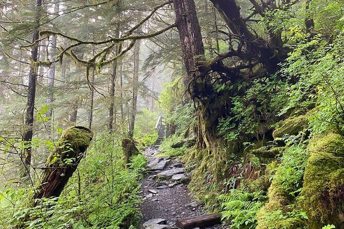 3-Hour Rainforest, Beach & Wildlife Walk - Final Thoughts: Why You Should Consider This Tour