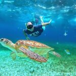 4 Hour Cozumel Turtle Sanctuary Experience on a Luxury Catamarán - What Sets This Tour Apart?