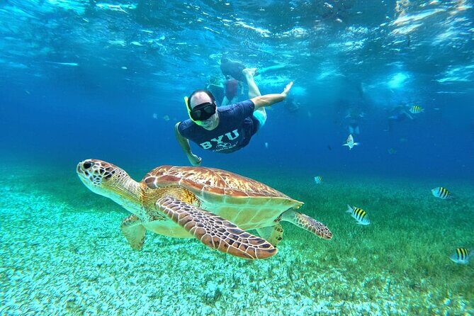 4 Hour Cozumel Turtle Sanctuary Experience on a Luxury Catamarán - What Sets This Tour Apart?