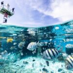 5-in-1 Cancun Snorkeling Tour with Sea Life & Transport Included - The Itinerary Breakdown: What to Expect