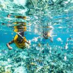 5-in-1 Cancun Snorkeling: Turtles, Reef, Musa, Shipwreck, Cenote - The Practical Side: Transportation, Duration, and Costs