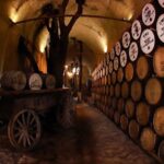 A unique tour! Visiting Hacienda Casa herradura From Guadalajara - The Itinerary Deep Dive