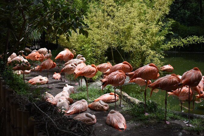 Africam safari (private tour) - Final Thoughts