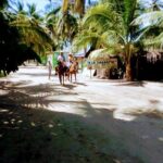 Afro-Mex Village Experience -Horseback Ride -Turtle Hatch & Crocs - The Balance of Value and Experience