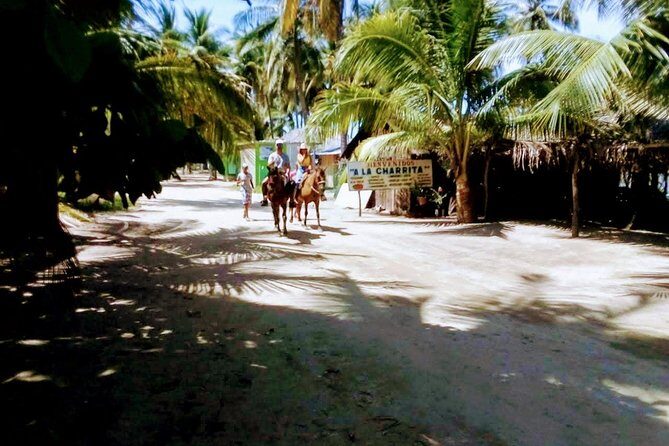 Afro-Mex Village Experience -Horseback Ride -Turtle Hatch & Crocs - The Balance of Value and Experience