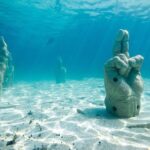 Afternoon Half-Day Catmaran Sailing and Snorkel Adventure - What Real Travelers Say