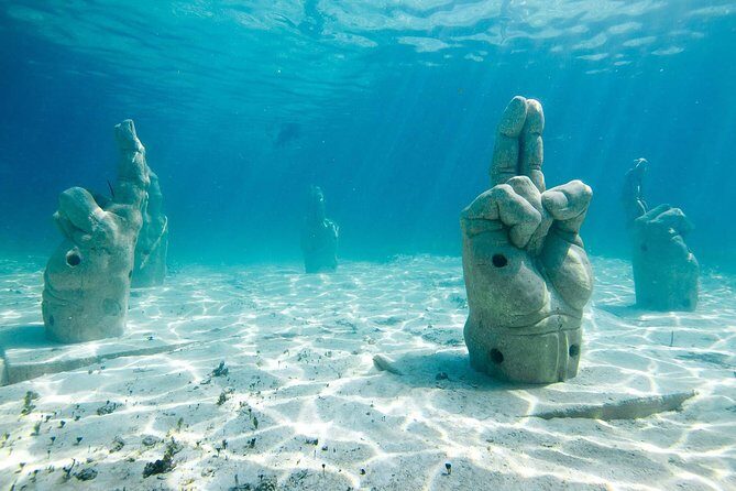 Afternoon Half-Day Catmaran Sailing and Snorkel Adventure - What Real Travelers Say