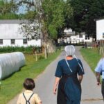 Amish Experience Visit-In-Person Tour - The Starting Point and Logistics