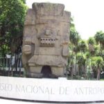 Anthropology Museum Private Experience Walking Tour - The Artifacts and Exhibits You’ll Likely See