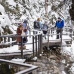 Banff Area & Johnston Canyon 1-Day Tour from Calgary or Banff - What Sets This Tour Apart
