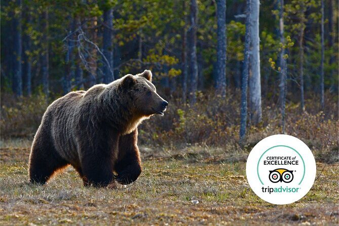 Banff Highlights & Wildlife | Award-Winning Small Group Adventure - The Sum Up: Is It Right for You?