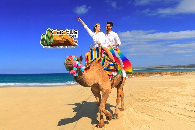 Beach Camel Ride & Encounter in Cabo - The Experience in Detail: Pros and Cons