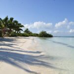 Beach Escape: Isla Contoy and Isla Mujeres with Snorkeling. - What Travelers Love About This Tour