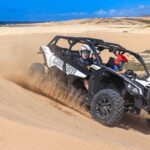 Beach UTV Adventure with Free Camel & Horseback Ride - Who Should Consider This Tour?