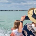 Best of Marco Island Dolphin Tour - A Close Look at the Details