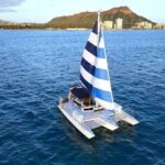 Best Waikiki Whale Watching in Honolulu: Whales Guaranteed - Who Should Book This Tour?