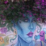 Bicycle Tour through Oaxaca learning about its Urban Art and History - Who Will Love This Tour?