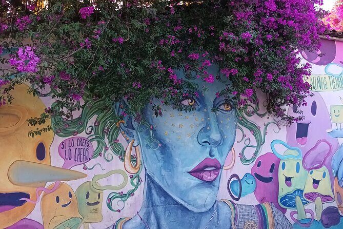 Bicycle Tour through Oaxaca learning about its Urban Art and History - Who Will Love This Tour?