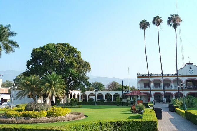 Bike tour to the Tule Tree and the Gastronomic Market - What Makes This Tour Stand Out?