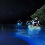 Bioluminescence Tour in Kayak in Holbox Island - Authentic Experiences and Real Insights