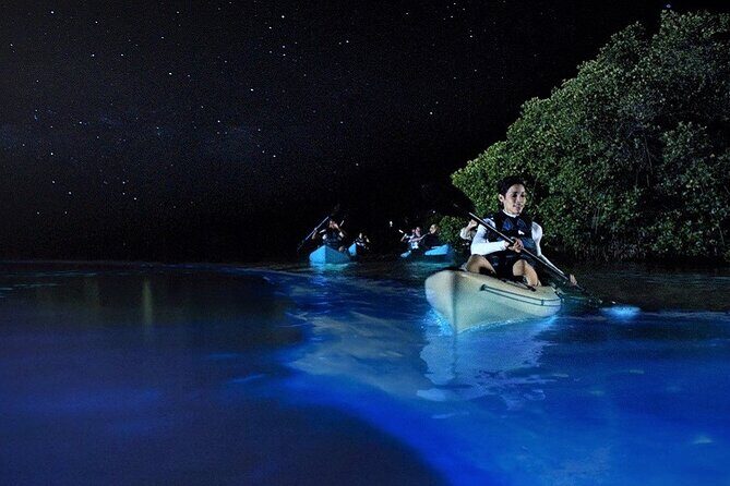 Bioluminescence Tour in Kayak in Holbox Island - Authentic Experiences and Real Insights
