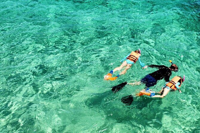 Boat ride to the Arch and Snorkel - Price and Value Assessment