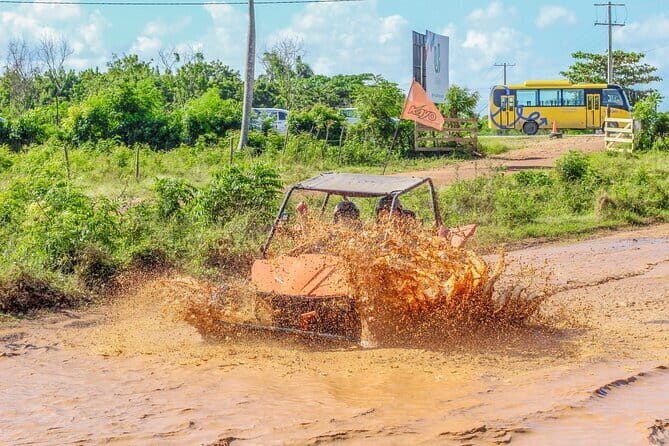 Buggy Punta Cana VIP Tour  Beach, Countryside and Tradition - Who Will Love This Tour?