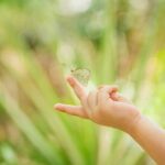 Butterfly Sanctuary Guided Tour in Puerto Vallarta - Transportation and Accessibility