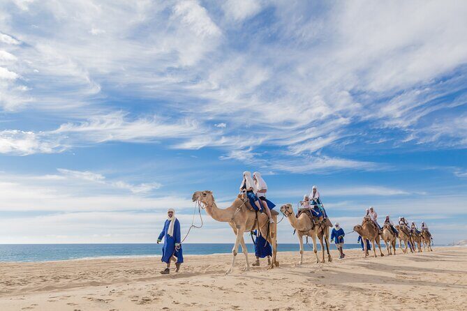 Cabo Camel Ride, Mexican Buffet and Tequila Tasting - What Makes This Tour Worth It?