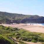 Cabo Migrino Beach & Desert Tour (Quad UTV) - Authentic Experiences from Past Participants