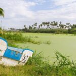 Cabo San Lucas and San Jose del Cabo Sightseeing Tour - Transportation & Group Size