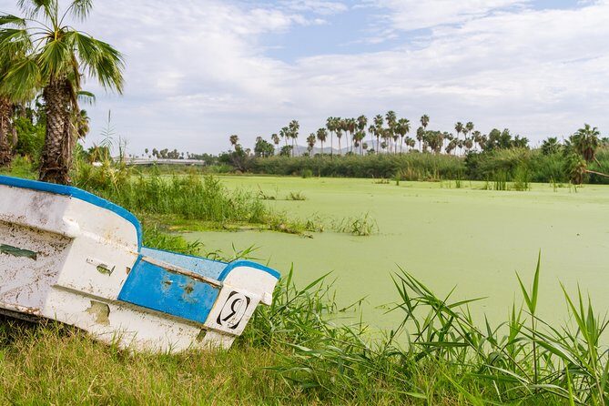 Cabo San Lucas and San Jose del Cabo Sightseeing Tour - Transportation & Group Size