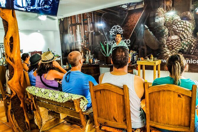 Cabo San Lucas Tequila Tasting Experience - Who Will Love This Tour?