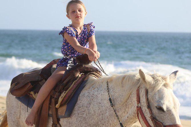 Cabo White Sand Horseback Riding Tour and Tequila Tasting - Final Thoughts: Who Should Sign Up?