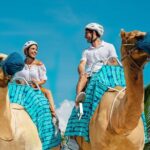 Camel Expedition and Beach Club In Riviera Maya - Practical Details and Tips