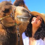 Camel Ride and UTV Combo Adventure, with Tequila Tasting - The Tour Overview: An Action-Packed Half Day