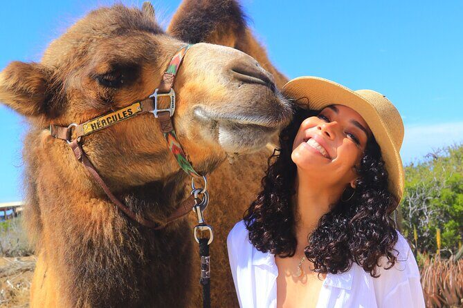 Camel Ride and UTV Combo Adventure, with Tequila Tasting - The Tour Overview: An Action-Packed Half Day