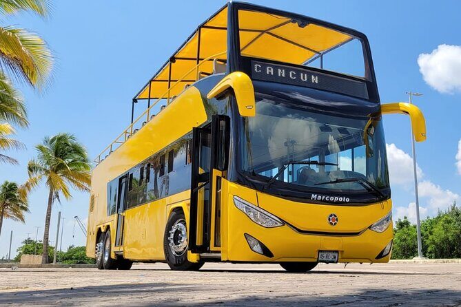 Cancun Guided Bus City Tour (from Cancun and Riviera Maya) - Transportation and Group Size