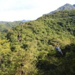 Canopy River Zipline Tour and Mule Ride - Why This Tour Delivers Value